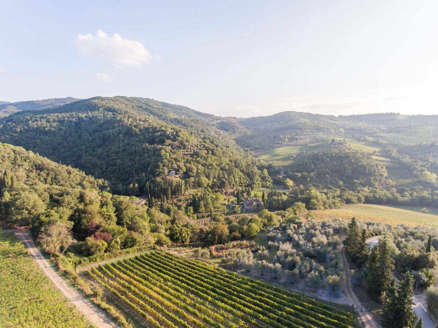 Eurovin – Importateur de vins pour le Québec depuis 1997